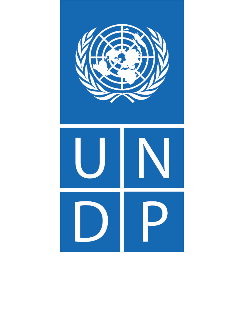 UNDP_Logo - StateCraft Inc.